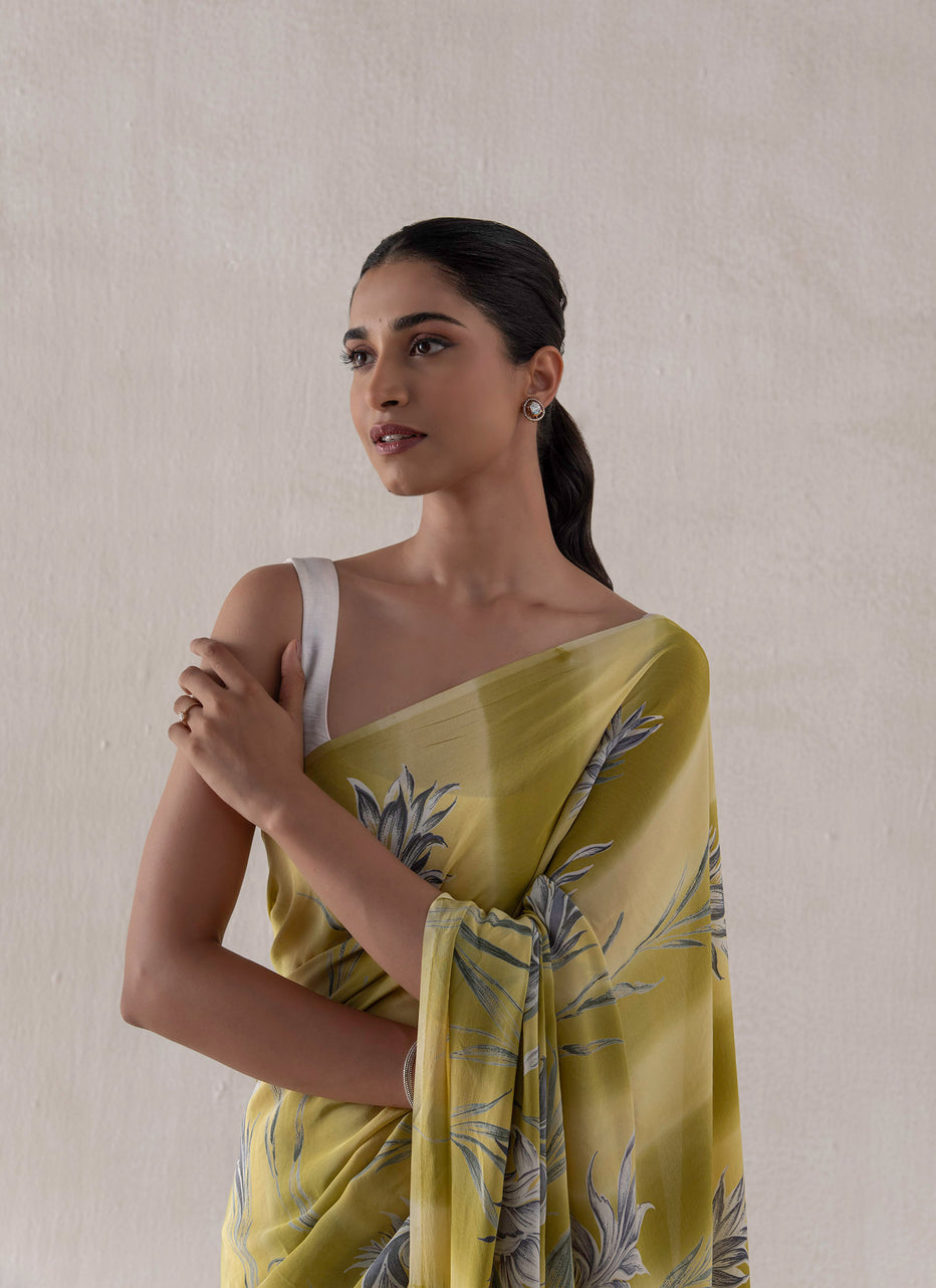 Sage Whisper – Vichitra Sarees